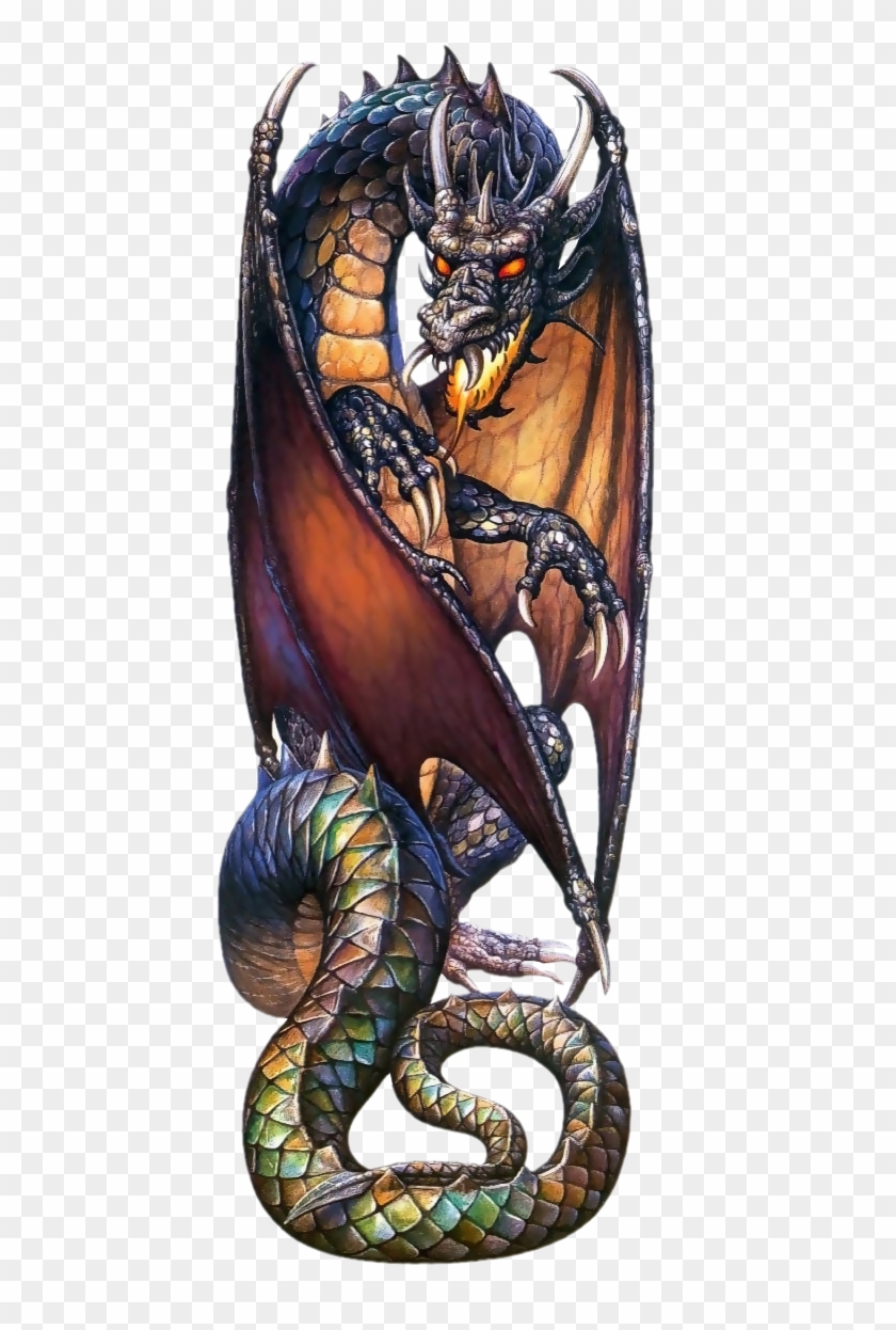 Drawings - Dragon-lover's Treasury Of The Fantastic [book] - Free ...